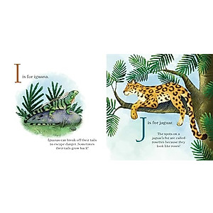 T Is for Tiger: A Toddler's First Book of Animals