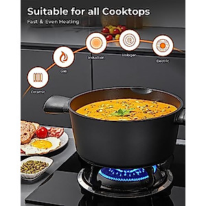 Nonstick Pot with Lid, Induction Cooking Pot, Stock Pot, Soup Pot with Anti-Scald Handle, 9.5inch/4.8QT, Easy Cleanup