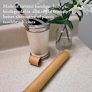 Bamboo Toothbrush Travel Case Pack of 6 Biodegradable and Eco Friendly