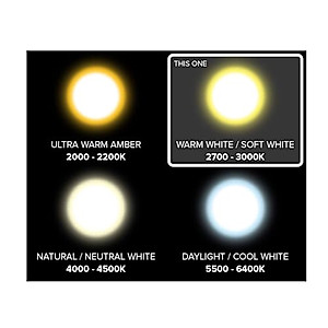 MR16 Halogen Lamp (35W)