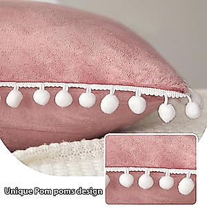 LIFEREVO Pom-poms Velvet Bed Body Pillow Cover, Long Fuzzy Body Pillow Pillowcase Cover 20x54, Boho Tassel Microfiber Full Bed Pillowcase for Kids Girls Teen Women Adults, Zipper Closure, Old Pink