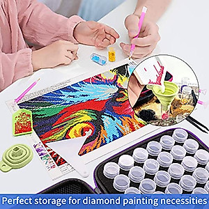 VAIIEYO Diamond Painting Storage Containers, 60 Slots EVA Shockproof Beads Storage Diamond Painting Accessories,Durable High Capacity - Diamond Embroidery Art Craft Jewelry Beads Rhinestones Organizer
