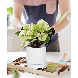 LaDoVita 3 Pack Ceramic Plant Pots 6/5/4 inch, Flowerpot for Indoor Plants with Drainage Holes and Tray, Outdoor Garden Planters, Modern Decorative for Home, White Vertical Stripes