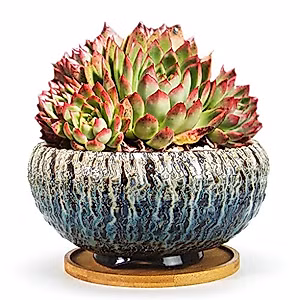 Summer Impressions 8 Inch Natural Cracking Round Ceramic Succulent Planter Pot with Drainge Hole and Saucer Cactus Clay Pot