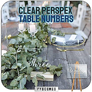 10PCS 8.5" X 11" X 0.04" PET Clear Plexiglass Plastic Sheets for DIY Display Projects and Crafts