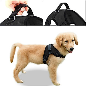 Copatchy No Pull Reflective Adjustable Dog Harness with Handle- Comfortable Soft All Weather Mesh, Easy On Puppy Harness for Small Medium and Large Dogs (Black) Small