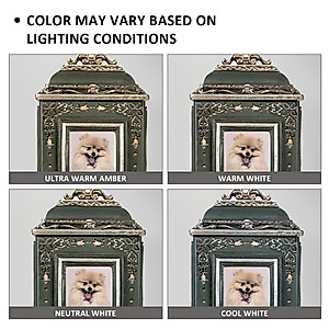 AELS Pet Urn Memory Box for Keepsakes with Photo Slot, Dog Memorial Urns for Ashes, Cat or Dog Cremation Urns, Dark Green