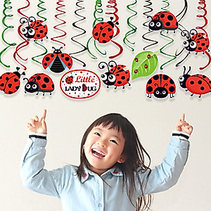 LJCL Ladybug Hanging Swirls Decorations 30ct Colorful Little Lady Bug Ceiling Whirl Streamers Spirals Foil for Baby Shower or Ladybug Birthday Party Decorations Supplies Hanging Decor