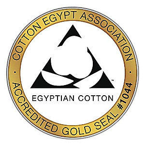 Pure Parima Luxury Duvet Cover Set 100% Certified Egyptian Cotton, Cool Breathable Ultra Soft Double Hem-Stitched Sateen Weave, Hidden Zipper Closure 1 Duvet Cover and 2 Pillow Shams (Spa, Queen)