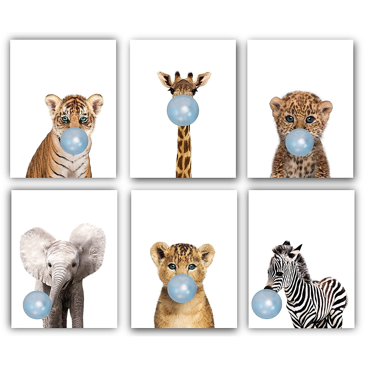 Designs by Maria Inc. Safari Blue Bubblegum Baby Animals Nursery Decor Art - Set of 6 (UNFRAMED) Wall Prints 8x10 (Blue)