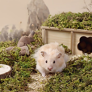 DR.DUDU 15L Forest Moss for Hamster Bedding Nesting, Syrian Gerbils Hamster Cages Accessories, Perfect for Small Animals Terrarium Moss