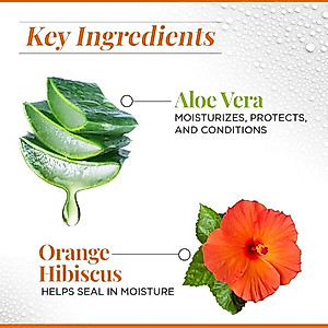 CHI CurlyCare Curl Shampoo, Hydrates Curls, Reduces Frizz & Increases Elasticity & Strength, Sulfate, Paraben, & Cruelty-Free, 25 Oz