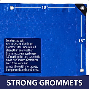 Rugged Rhino All Weather 100% Waterproof Heavy Duty Tarp, 2 Pack, 5 Mil UV Temperature Resistant Tarps, High Durability Multipurpose Cover, for Home Outdoor Patio Winter Leaf Camping, 9x12 Blue