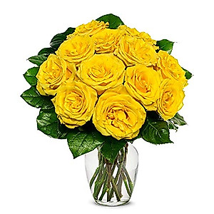 DELIVERY BY FRIDAY, 8/2 GUARANTEED IF ORDER PLACED BY 8/1 BEFORE 2PM EST From You Flowers - One Dozen Yellow Roses with Glass Vase (Fresh Flowers) Birthday, Anniversary, Get Well, Sympathy,