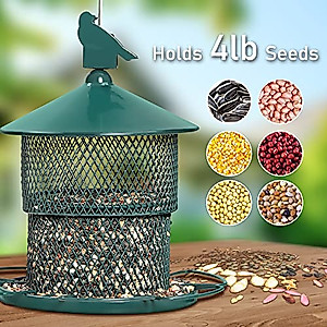 Wild Bird Feeder Squirrel Proof for Outdoors Hanging, Squirrel Proof Bird Feeder for Garden Yard, 4 lbs Seed Capacity, Backyard Garden Yard Decor