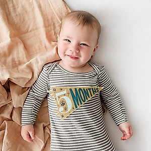 Lucy Darling Petit Milestone Pennants, 12 Felt Baby Monthly Milestone Banners for Baby Girl & Boy, Newborn Photography Props & Decor, Felt Pennant Flags, Perfect Baby Shower Gifts (Little Camper)