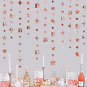 Rose Gold 10th Birthday Decorations Number 10 Circle Dot Twinkle Star Garland Metallic Hanging Streamer Bunting Banner Backdrop for Girls Boys Ten Year Old Birthday 10th Anniversary Party Supplies