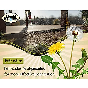 Concentrated Surfactant for Herbicides Non-Ionic 8oz, Increase Product Coverage, Increase Product Penetration, Increase Product Effectiveness