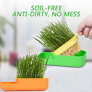 Sozize 2Pcs Hydroponic Cat Grass Planter Wheat Cat Grass Kit Soil Free Seed Sprouting Tray for Cat Grass Indoor Cats (no Seeds Included)