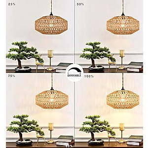 QIYIZM Plug in Pendant Light Hanging Lights with Cord Rattan Boho Hanging Lamp Dimmable,Wicker Bamboo Woven Lamp Shade,Ceiling Light Fixture for Living Room Bedroom Kitchen