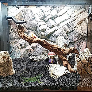 Hamiledyi Reptile Driftwood Decoration Natural Coral Driftwood Branches for Aquarium Reptiles Trunk Log Ornament Bendable Jungle Climbing Vines Decor for Bearded Dragon Lizad Amphibian Fish Tank