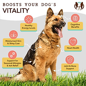 Natural Dog Company Multivitamin Chews and Ultra Omega Oil for Active Dogs - Nutrient-Rich Dog Treats with Omega-3 and Essential Vitamins, Supports Cognitive Health and Overall Vitality for All Breeds