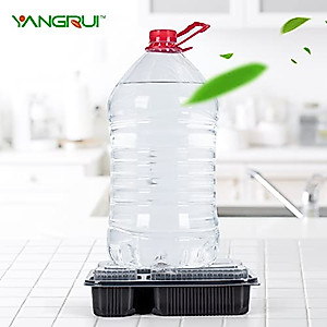YANGRUI To Go Containers, 40 Pack (40 Trays + 40 Lids) 34oz BPA Free Reusable Bento Box Shrink Wrap Machine Washable Meal Prep Container