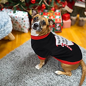 4 Pack Santa Christmas Dog Shirts for Small Dogs Cats Funny Christmas Dog Clothes Shirts for Small Dogs and Cats Puppy Christmas Clothes T-Shirts Winter Christmas Party Gift (Small Size)