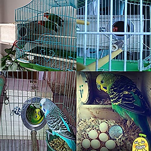 PIVBY Bird Nest Box Lovebird House Pet Wood Parakeet Budgie Cockatiel Breeding Nesting for Cages