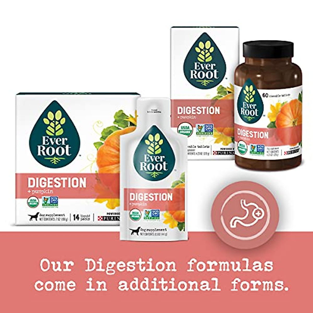 EverRoot Organic Dog Supplement by Purina, Digestion Chewable Tablet with Pumpkin for Dogs - 4.23 oz. Canister