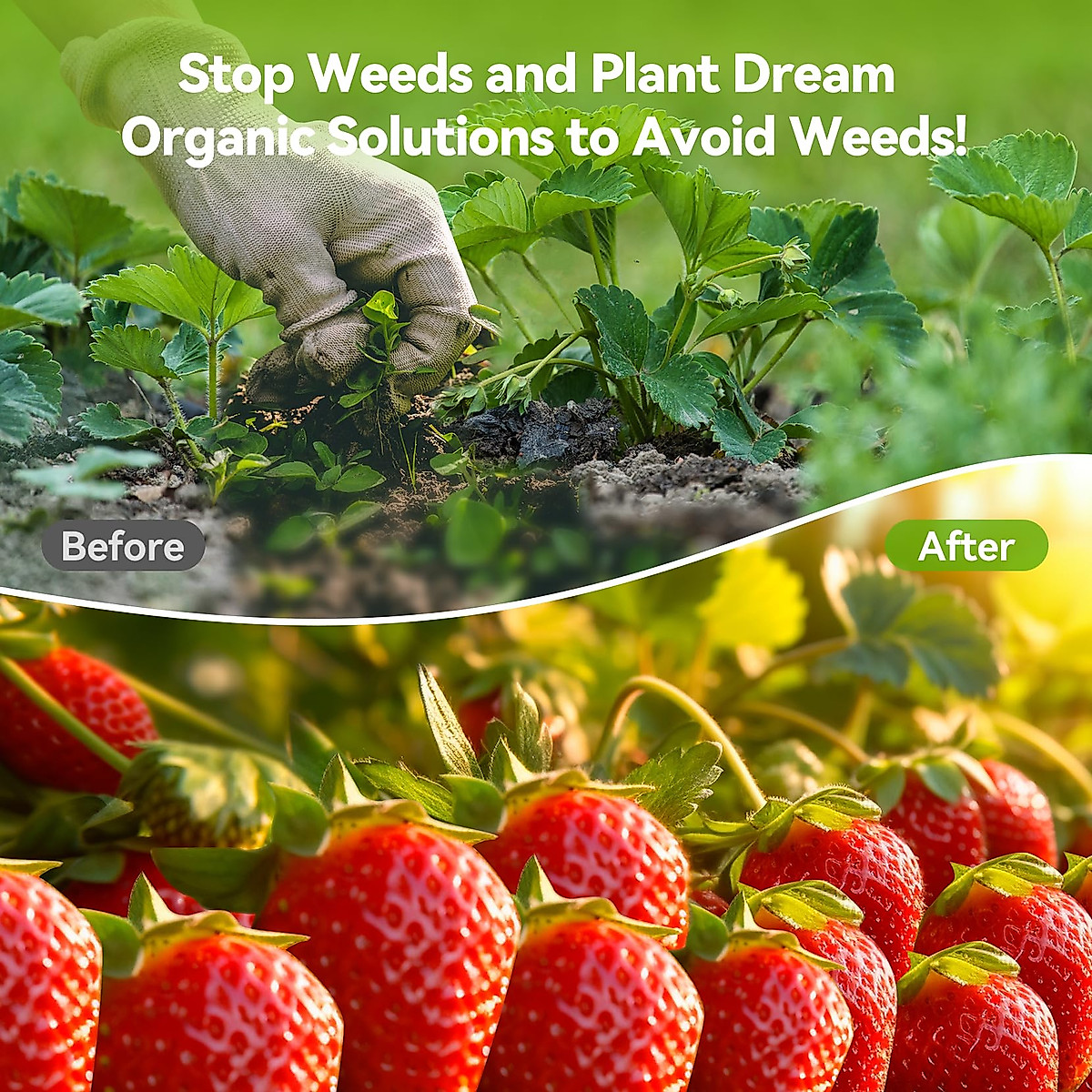 iropro 4ftx300ft Weed Barrier Landscape Fabric Heavy Duty, Woven Weed Control Cloth, Woven Geotextile Fabric for Underlayment, Gardening Ground, Commercial Driveway Weed Block Cover Mat