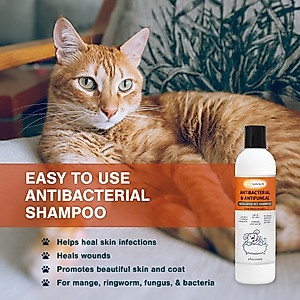Healthy Paw Life Classic's Lime Sulfur Pet Shampoo - Pet Care and Veterinary Solution for Itchy and Dry Skin - Safe for Dog, Cat, Puppy, Kitten, Horse