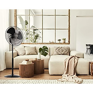 Westerly Oscillating Pedestal Fan, Adjustable Height, 3 Speeds, for Bedroom, Living Room, Home Office and College Dorm Room, 18", Black (2)