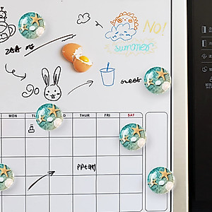 Medium Refrigerator Magnets Funny-Cute Fridge Magnet Beach Starfish and Seashell-6 Pieces Glass Refrigerator Magnet Round Decorative Magnets for Whiteboard Photo Office Locker