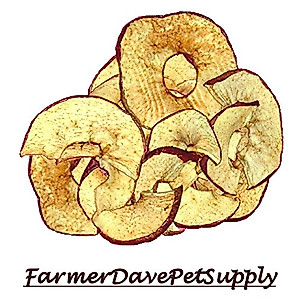 Small Apple Slice Treats for Pets