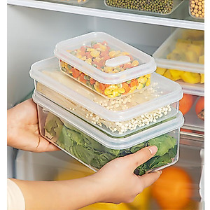 Naranqa Food Storage Containers Bins 11.02×8.85×1.81" Vegetable Organizer with Lid Clear Fridge Crisper Keep Food Fresh Kitchen Organizer Bins (1PACK-SMALL)