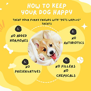 PETS WHplus Beef Tendon Sticks for Dogs,100% Natural Dog Treats, 4 oz (113g) Pack, Chews for Dogs, Mixed Lenght Varies 4-7 inches, Grass -Feed Beef-Dental Dog Chews, High in Protein & Collagen.