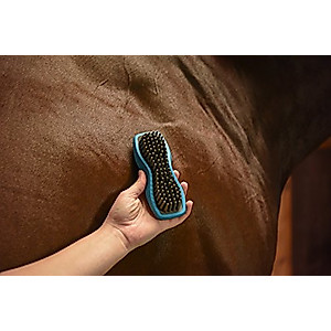 WAHL Professional Animal Equine Grooming Rubber Curry Horse Brush, Turquoise (858712-100)