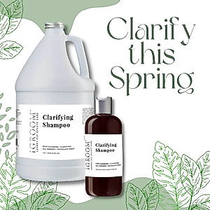 iGroom Clarifying Dog Shampoo, Soft, Shiny, and Clean Dog Coat, Luxury Pet Beauty Care, Sooth and Protect Coat, All Natural Ingredient Shampoo, Made in USA, 16 oz