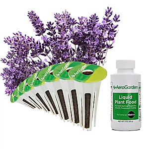 AeroGarden Lavender Seed Pod Kit (7-Pod), Multi-Color