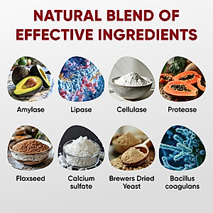 Canine Probiotics for Digestive Health - Immune Support Supplement for Dogs of All Breeds - Enzymes & Probiotics for Pets - Soft Chews