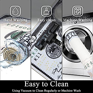 Ileading New Hundred Dollar($100) Bill Money 2' X 5' Indoor Runner Rug, Non-Slip Money Area Rug for Living Room Bedroom Kitchen Laundry Mat (24"X59" Green Multicolor)