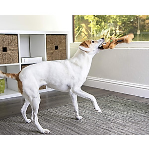 goDog Christmas Gingerbread Man Squeaky Plush Dog Toy, Chew Guard Technology - Brown, Large