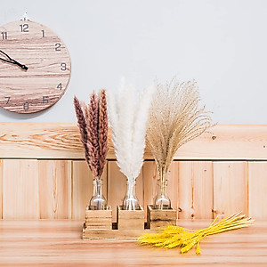 Pampas Grass 100Pcs Dried Pampas Grass Decor Fluffy Pompous Grass Mini Dried Flower Bouquet for Boho Home Decor