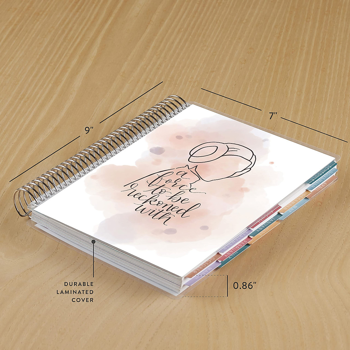 Erin Condren 7x9 Coiled Academic Planner (July 2024 - June 2025) - Watercolor Leia Cover, Star Wars Theme, Platinum Coil