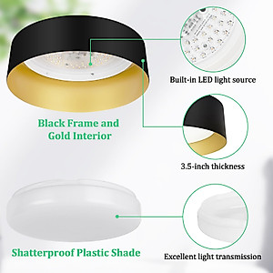 Flush Mount Ceiling Lights, 25W LED Ceiling Light Fixtures 300W Equivalent 2600LM 5CCT Adjustable Modern Black and Gold Flush Mount Light Fixture Dimmable Ceiling Lamps for Bathroom Hallway Bedroom