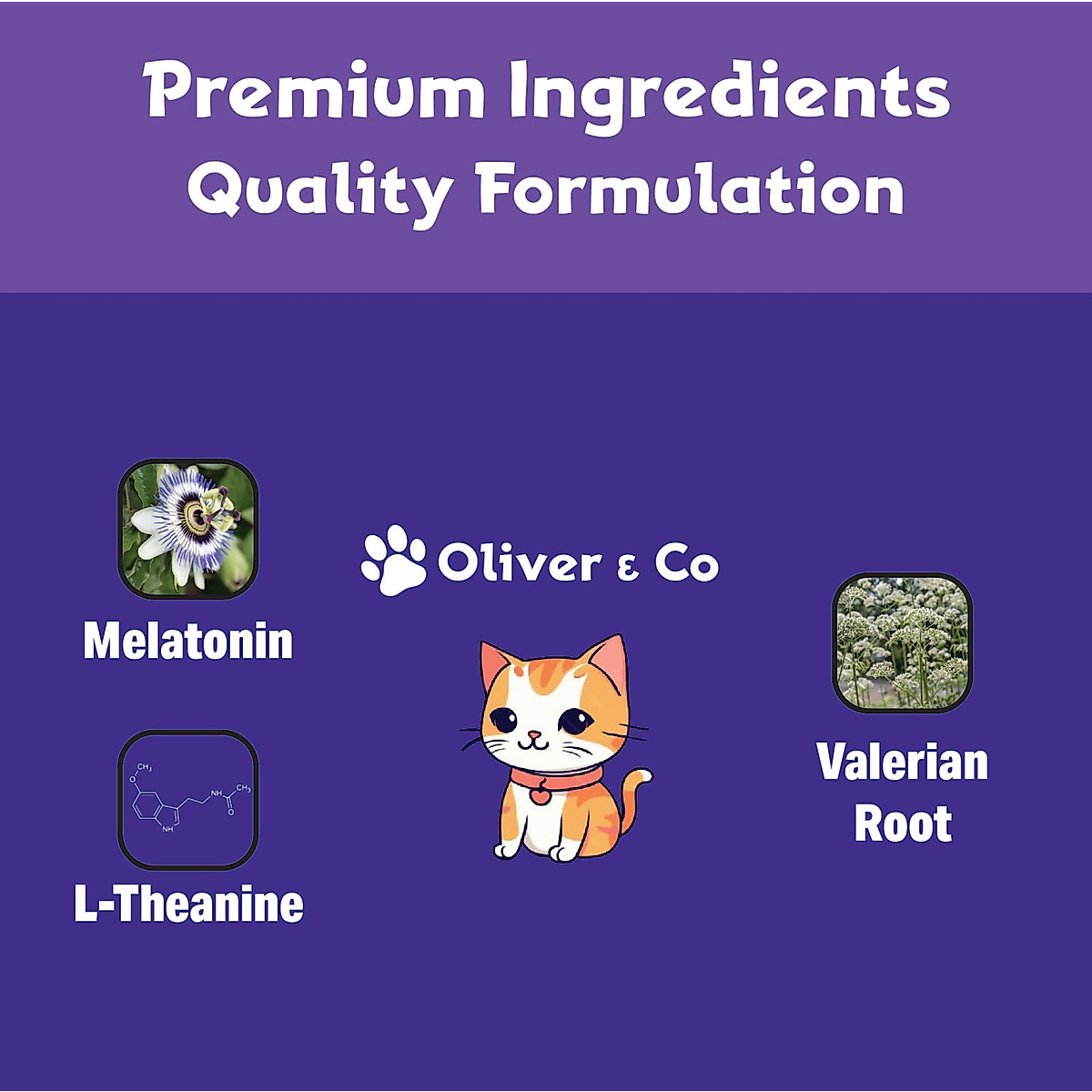 Melatonin for Cats | Supports Healthy, Restful Sleep for Your Cat | Cat Sleep Aid | Cat Calming | Cat Anxiety Relief | Cat Melatonin | Anxiety Relief for Cats | Cat Stress Relief | 1 fl oz