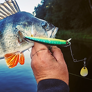 Sumind 40 Pieces Fishing Spinner Blades Spinner Bait Smooth Spoons Rigs Fishing Spoons Blades Lures Accessories(Gold)