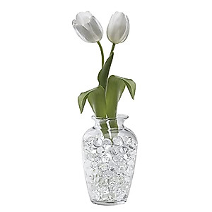 Deco Beads - 8 Ounce Jar Makes Over 6 Six Gallons - Beads Hold Water