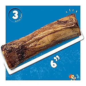 Jack&Pup Dog Bones for Aggressive Chewers (3 Pack) Premium Grade Roasted Marrow Bones for Dogs – 6 inch Dog Bones for Large Dog - All Natural Gourmet Treat Chews – Long Lasting Chew (3 Piece Pack)